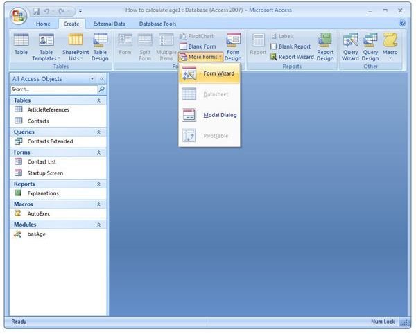 How To Create A New Form Using The Form Wizard In Microsoft Access 2007
