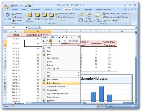 How To Add View And Remove Cell Comments In Microsoft Excel 2007