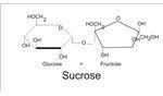 Studying Sugar Compounds, Molecular Activity and Breakdown