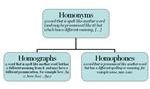 Common French Homonyms: Making Sense of it All