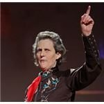 The Temple Grandin Squeeze Machine: History and Benefits
