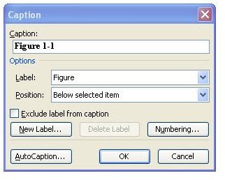 Add Captions And An Index For Tables And Figures In Microsoft Word 