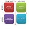 Understanding the Use of the Ansoff Growth Matrix: Taking Risks
