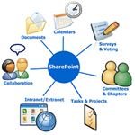 Sharepoint for Dummies : The History of SharePoint and Component Parts
