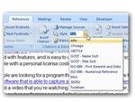 How to insert a citation placeholder in word - nsastudio