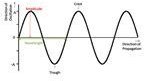 Physical Science Lesson Plans: Wave Motion Lesson